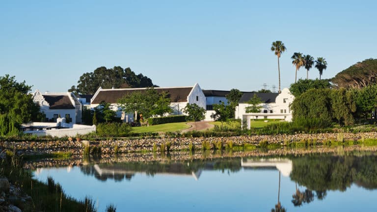 The 5 Best Wine Farms in Cape Town