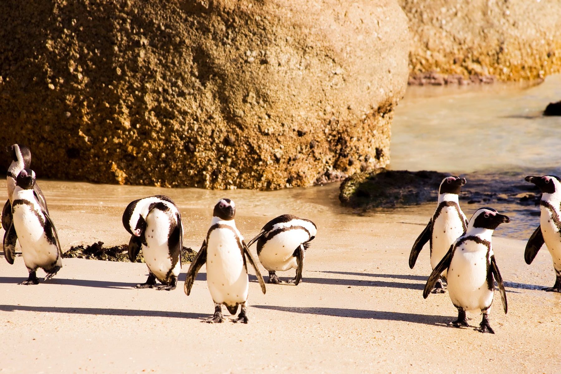 Your Guide to a Perfect Summer's Day in Cape Town | O'Two Hotel Cape Town